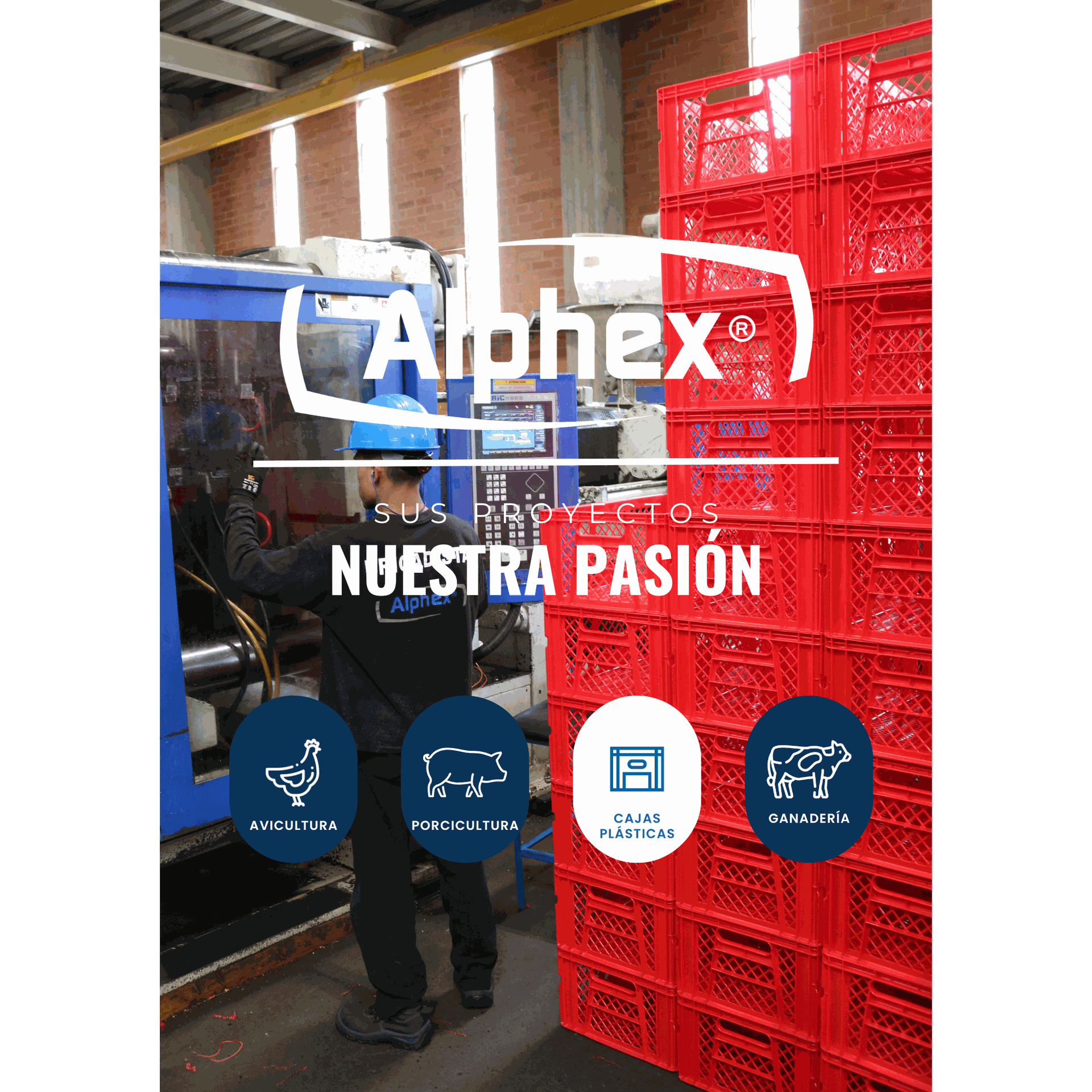Catálogos | Alphex